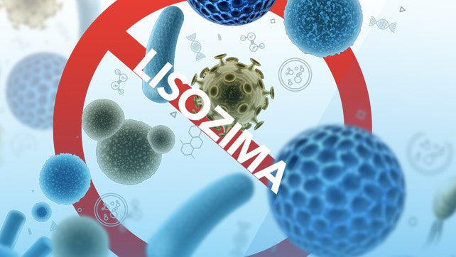 Lisozima e sistema immunitario e Coronavirus? | Vitamincenter